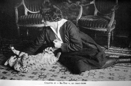 Colette animale - La Maison de Colette